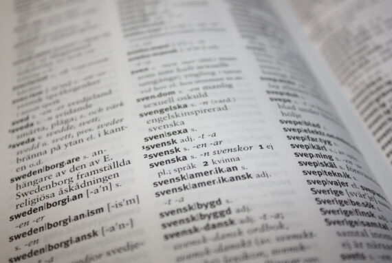 All you need to know about Swedish Fish (the fruity kind) - Routes North