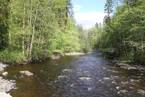 The best hikes near Oslo - Routes North