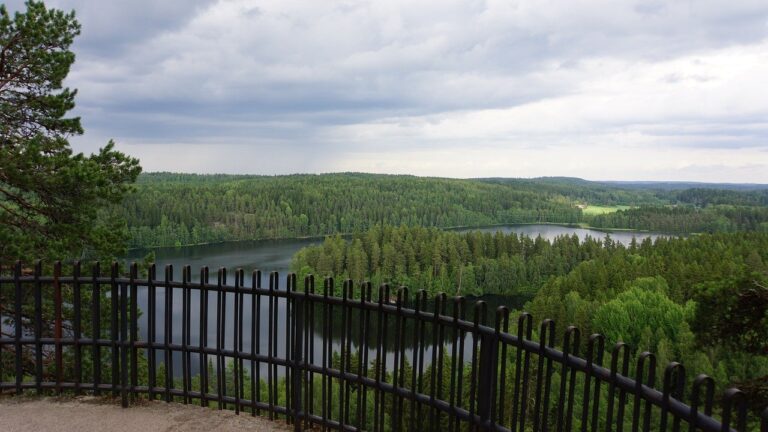 Finnish last names and their meanings - Routes North