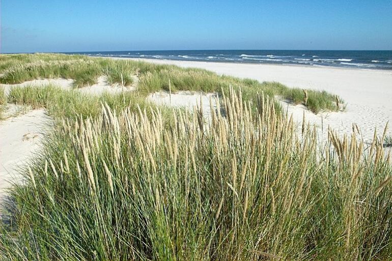 The best Nordic beaches revealed - Routes North