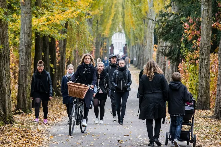 What Do Danish People Look Like