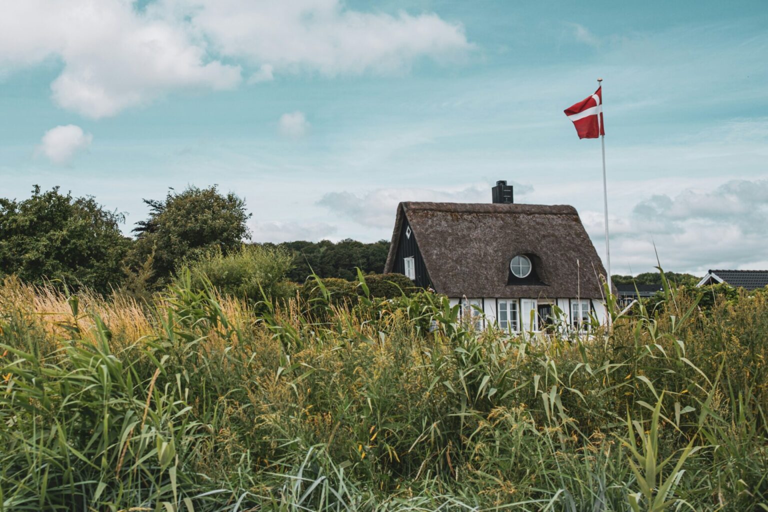 Are you mixing up Danish and Dutch? Here's how to tell them apart ...