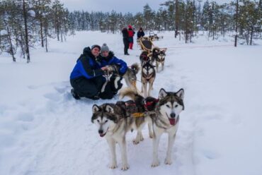 10 of the best dog sled tours in Rovaniemi - Routes North
