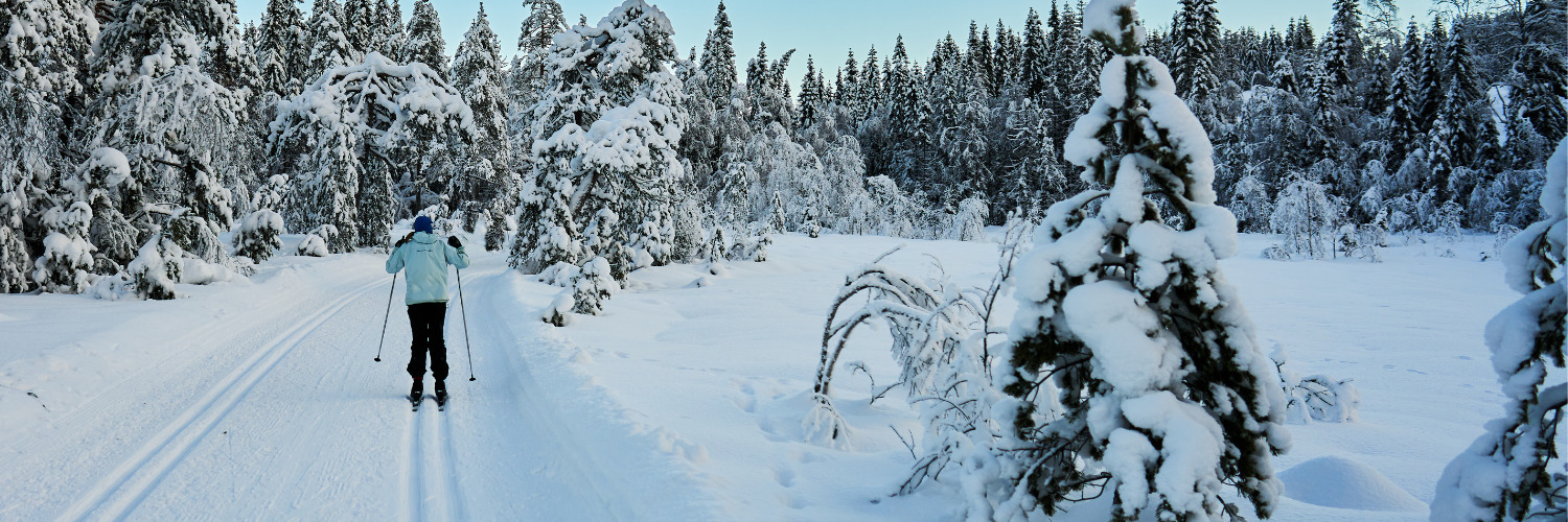 The 12 best ski areas in Sweden - Routes North