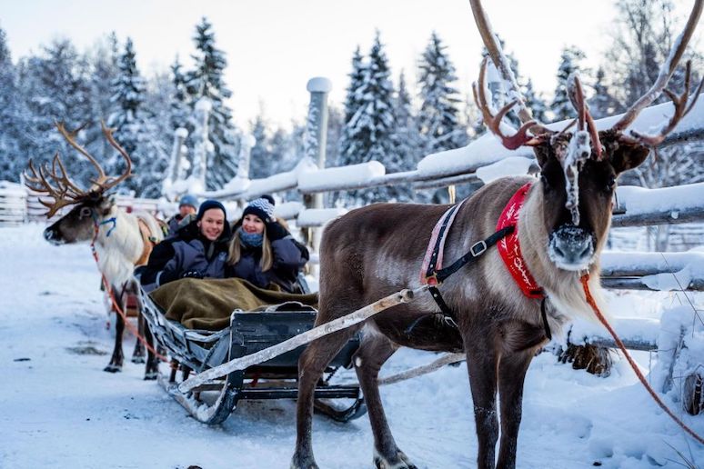 The best reindeer rides in Rovaniemi - Routes North
